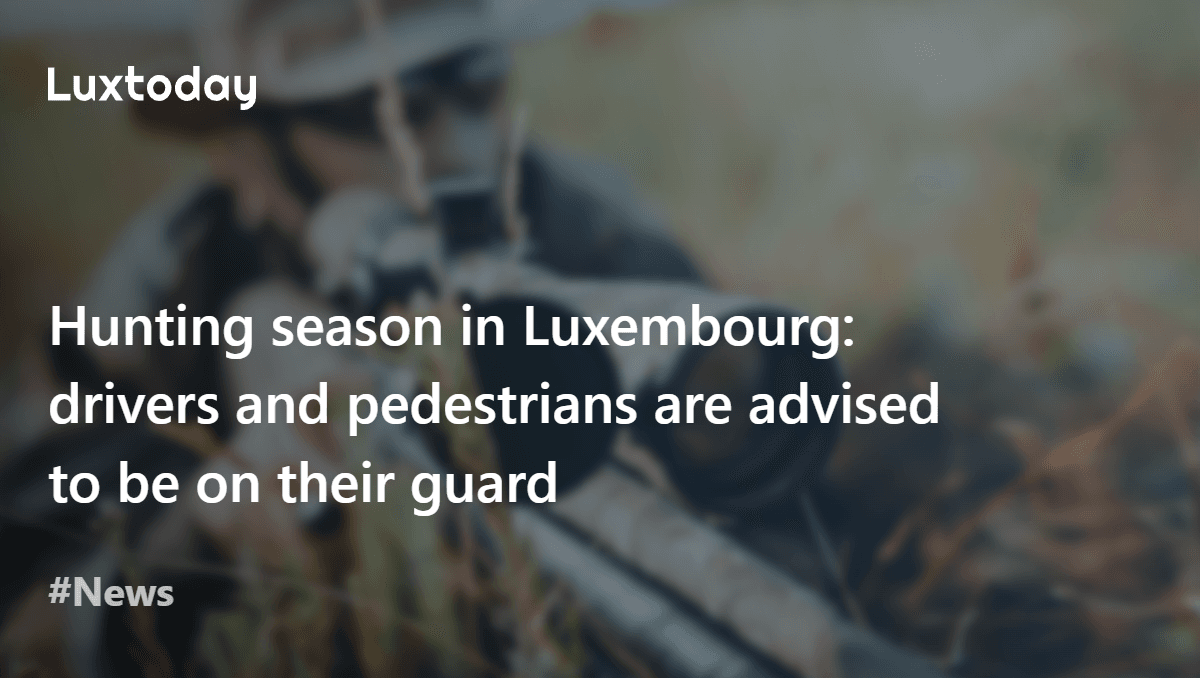 Hunting season in Luxembourg: drivers and pedestrians are advised to be ...