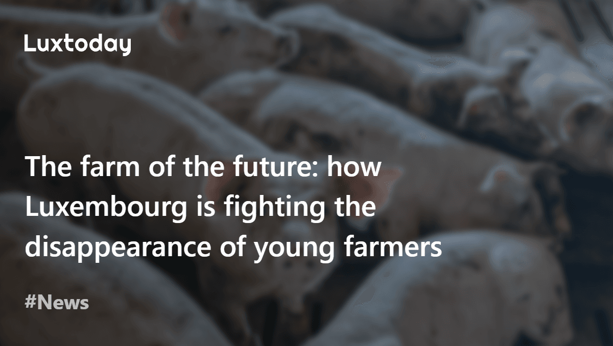 The farm of the future: how Luxembourg is fighting the disappearance of ...